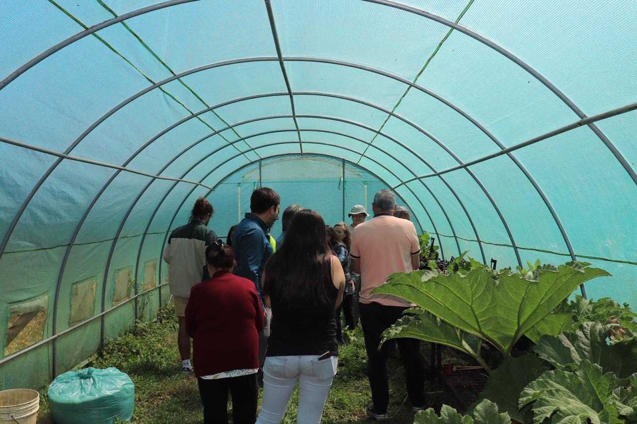 NALCA. ALIMENTO ANCESTRAL- CHILE – Ibercocinas