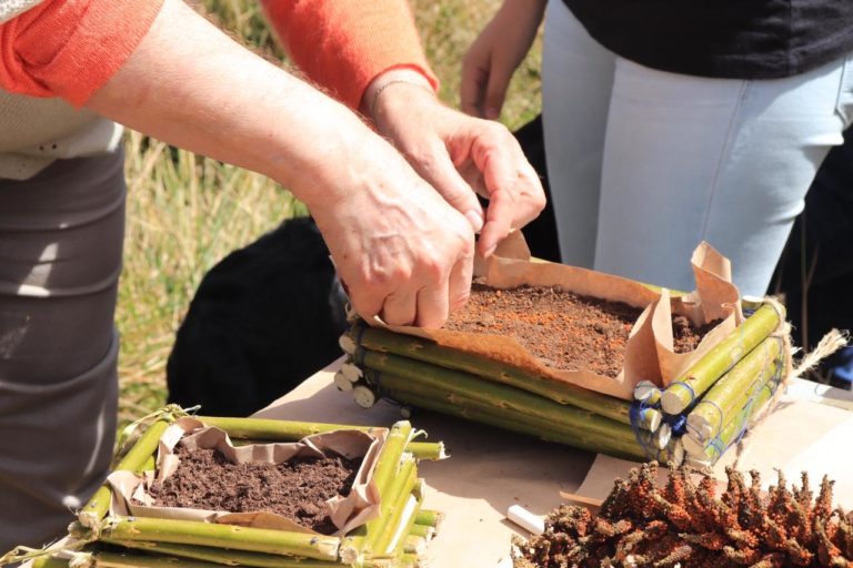 NALCA. ALIMENTO ANCESTRAL- CHILE – Ibercocinas