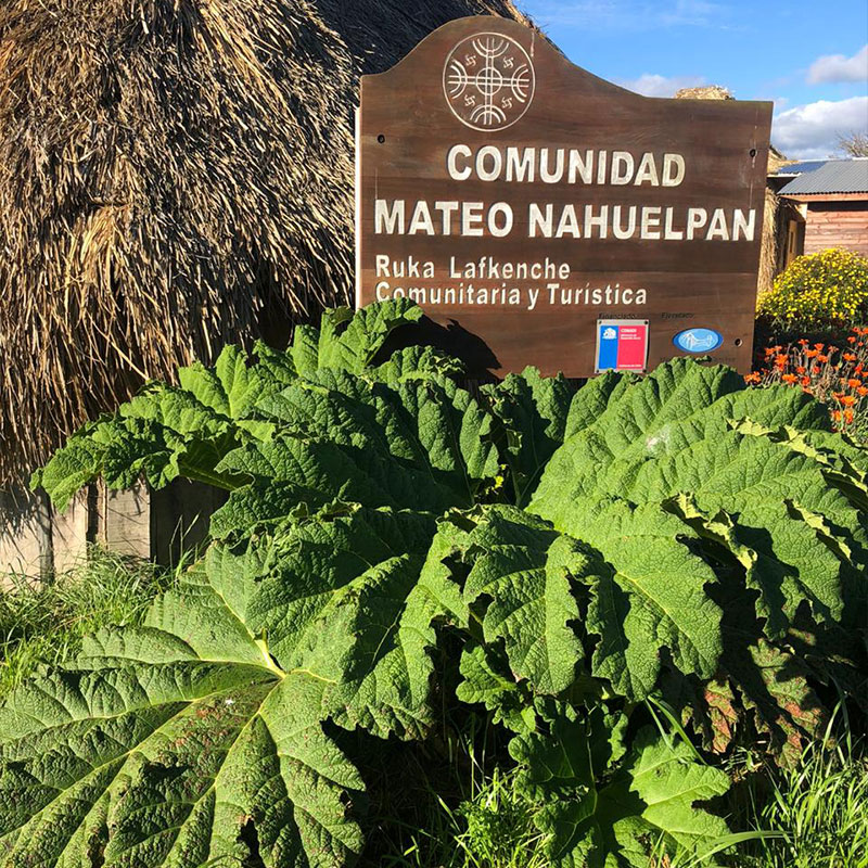 COCINERAS MAPUCHE LAFKENCHE DE LA COMUNIDAD MATEO NAHUELPÁN – Ibercocinas